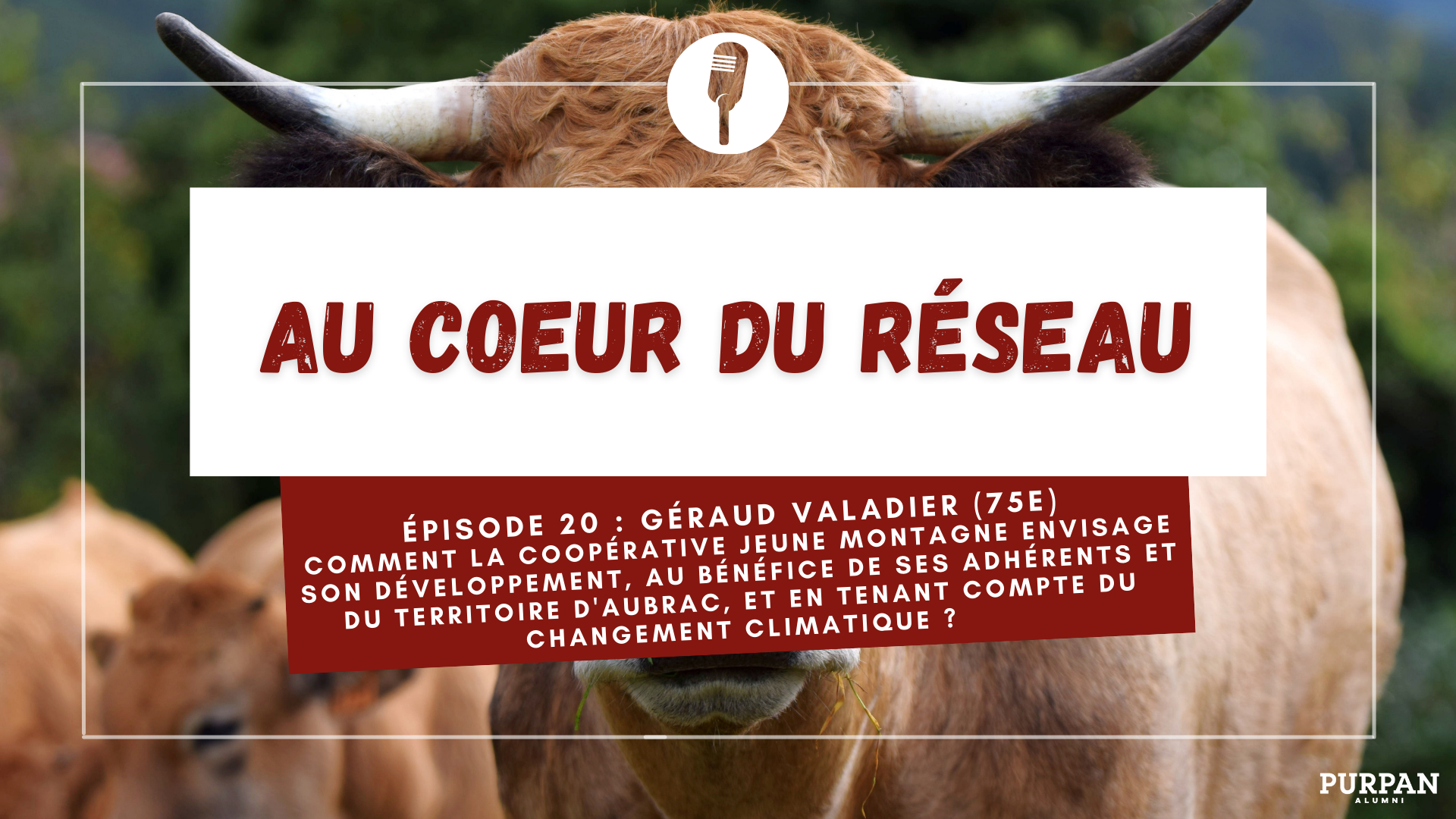 [AU COEUR DU RÉSEAU] Épisode #20 : Géraud VALADIER (75e), Président de ...
